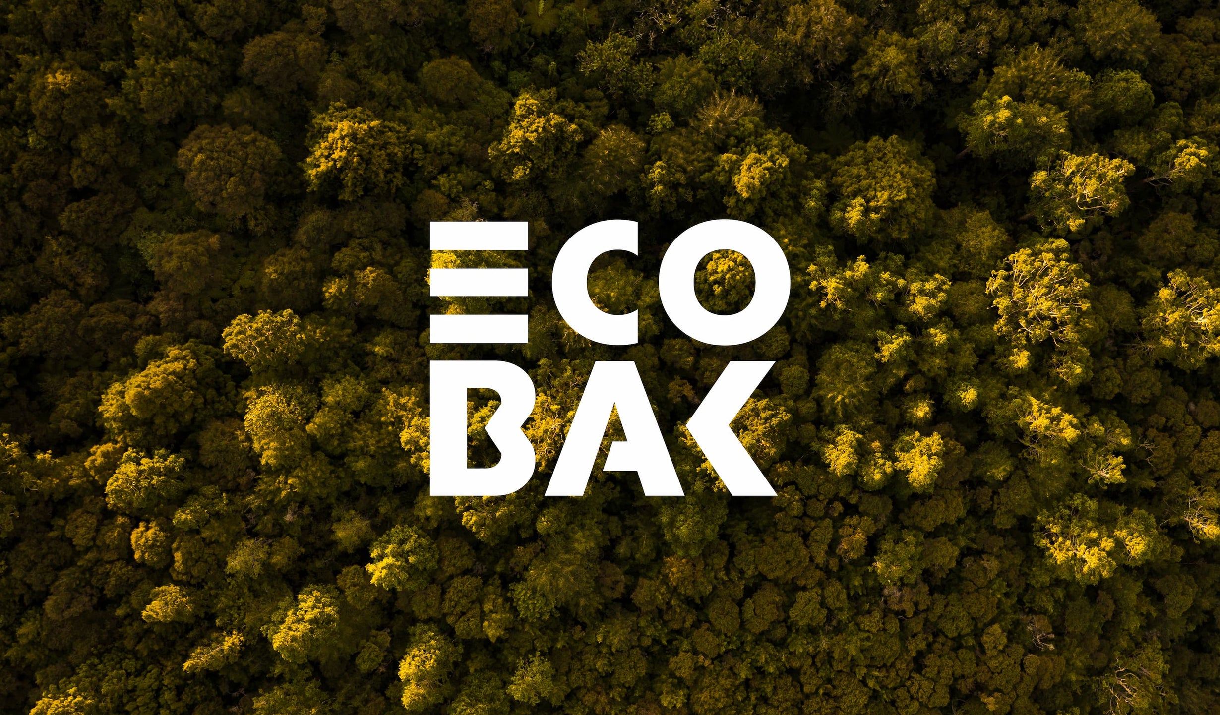 Eco-Friendly Waste Management Solutions | Ecobak NZ – Ecobak by Pioneer